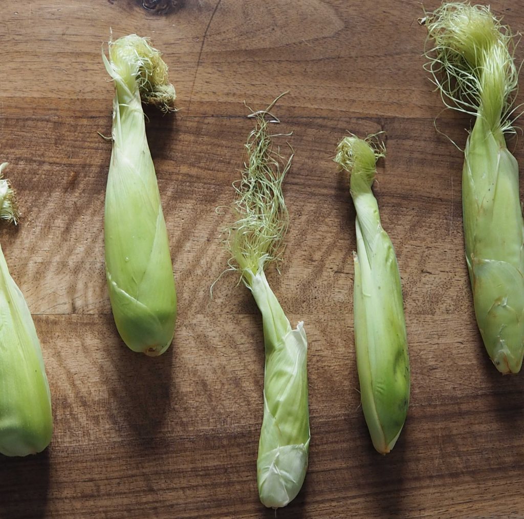 Neue Leaf-to-Root-Zutat: Iss den ganzen Mais, mit Haut, Haar und ...
